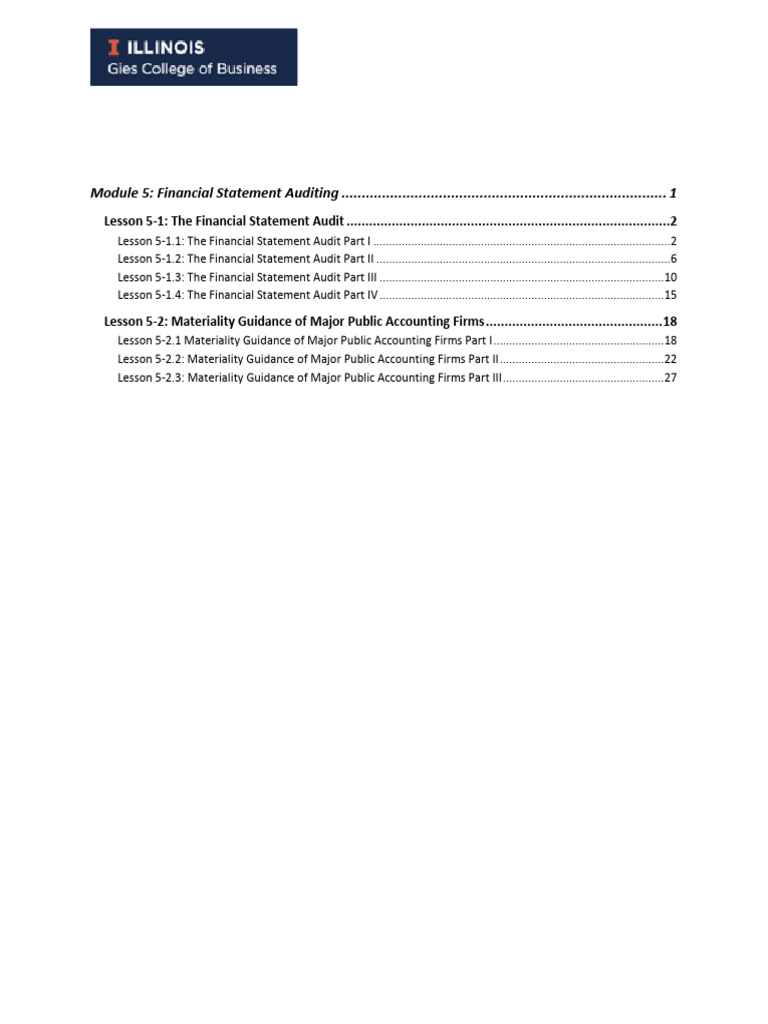 Financial Statement Audit Essentials | PDF | Audit | Internal Control