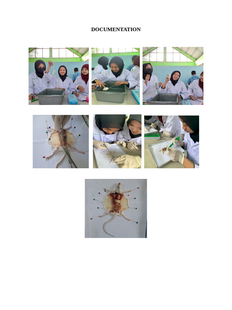 DOCUMENTATION SUZY | PDF