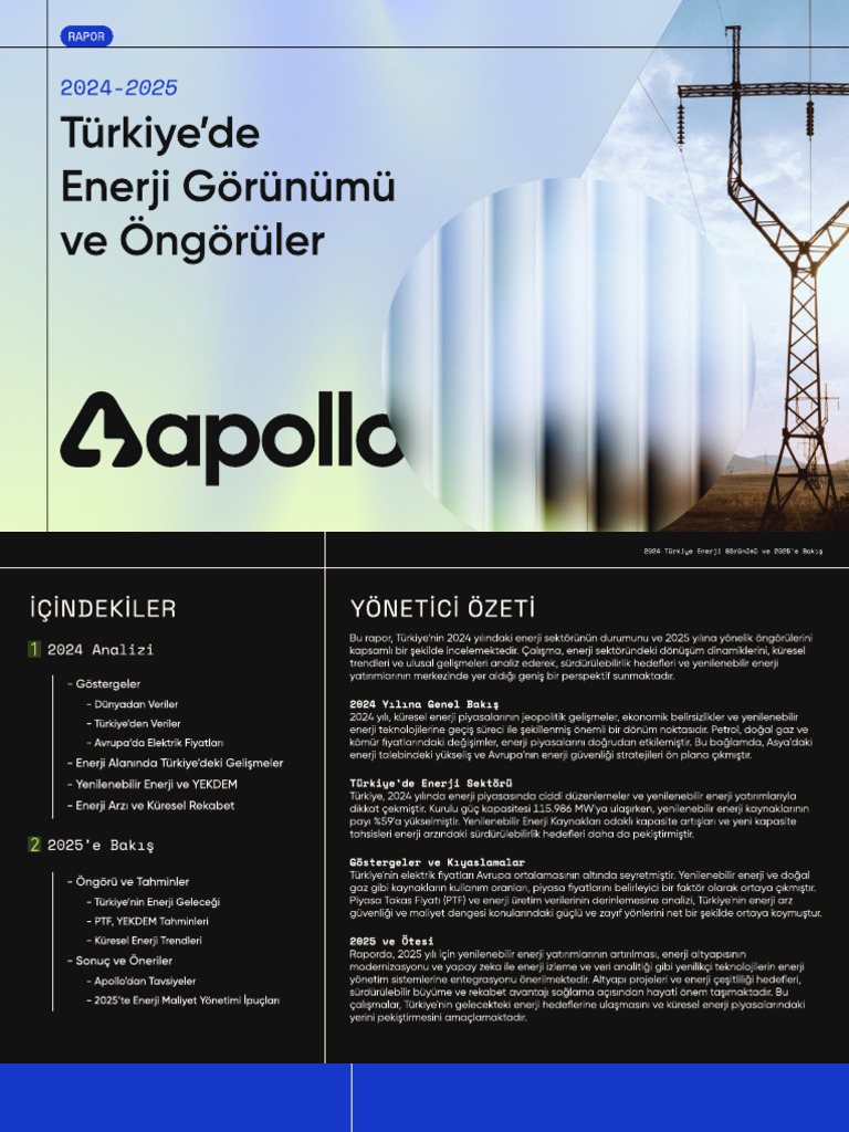 Apollo-2024-Enerji Gorunumu-2025-Ongoruleri-Rapor | PDF