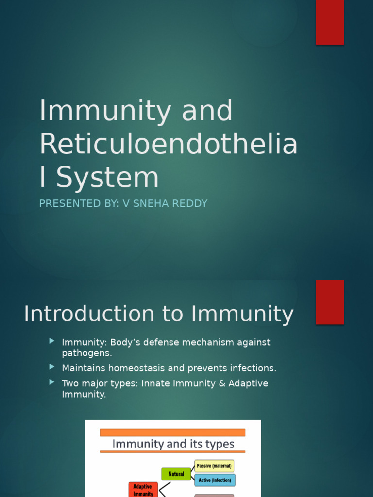 Understanding Immunity & Reticuloendothelial System | PDF | Immune ...