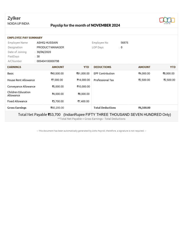 November 2024 Employee Payslip Summary | PDF