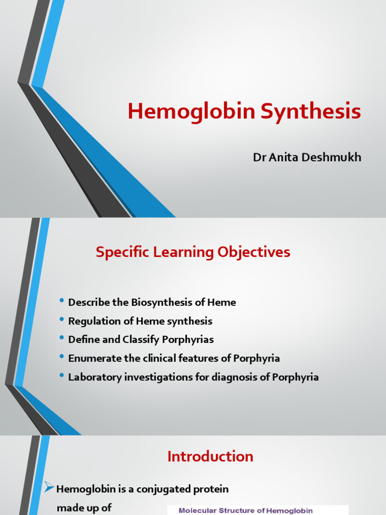 Hemoglobin Synthesis (MBBS) (1) | PDF | Mitochondrion
