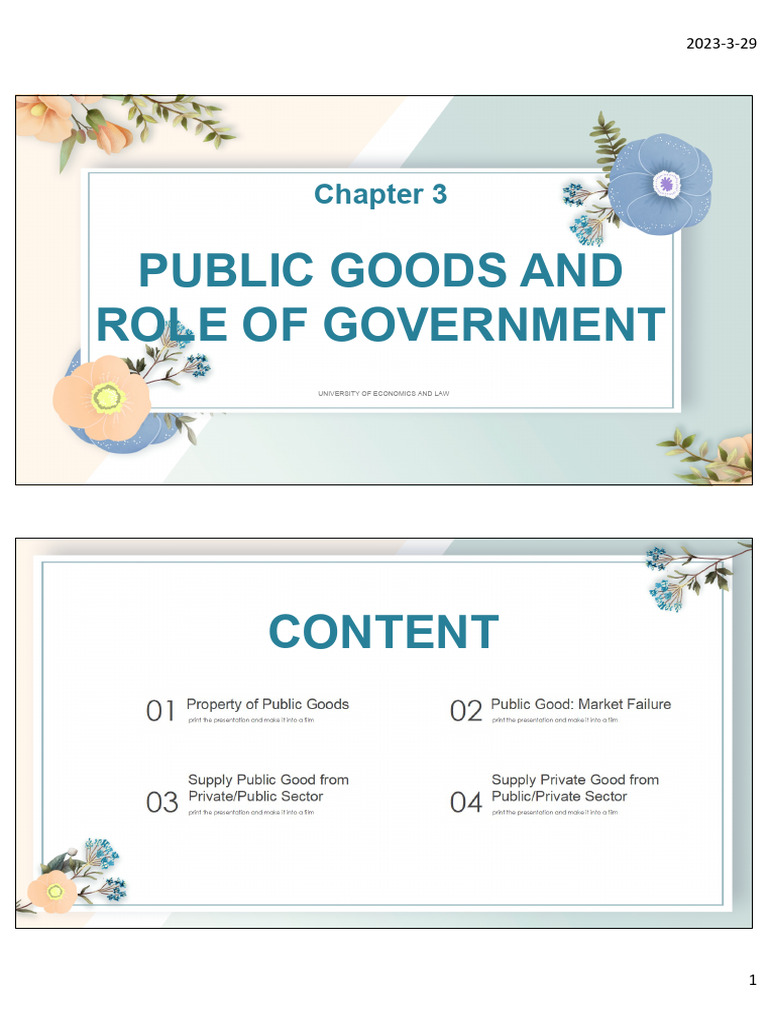 Public Goods and Government Role | PDF