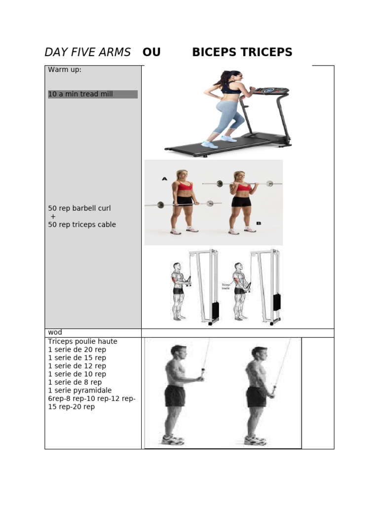 Day Five Arms Ou Biceps Triceps Big Jantee | PDF