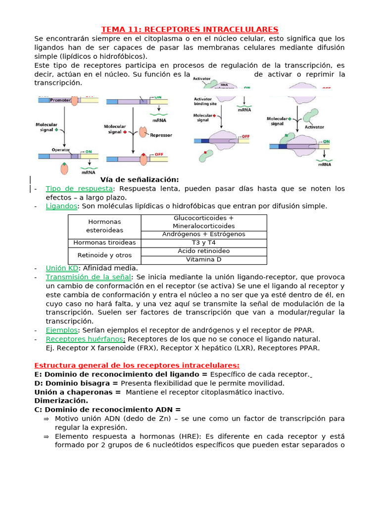Receptores Intracelulares y su Función | PDF | Receptor (Bioquímica ...