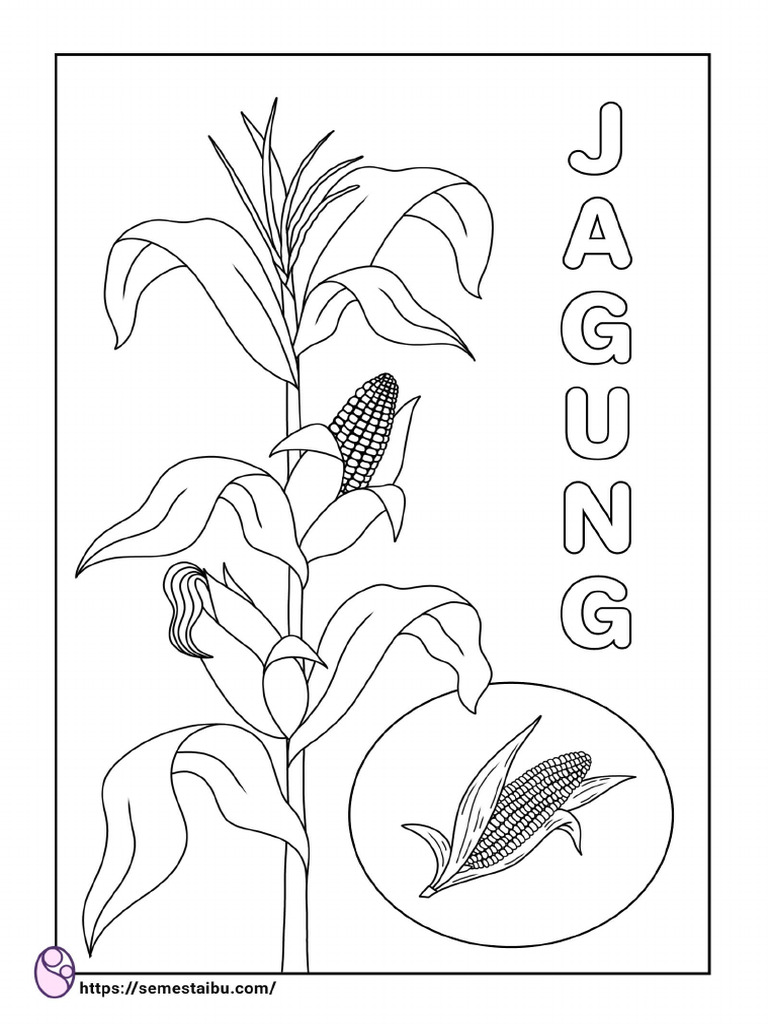 Gambar Mewarnai - Tanaman - Jagung | PDF