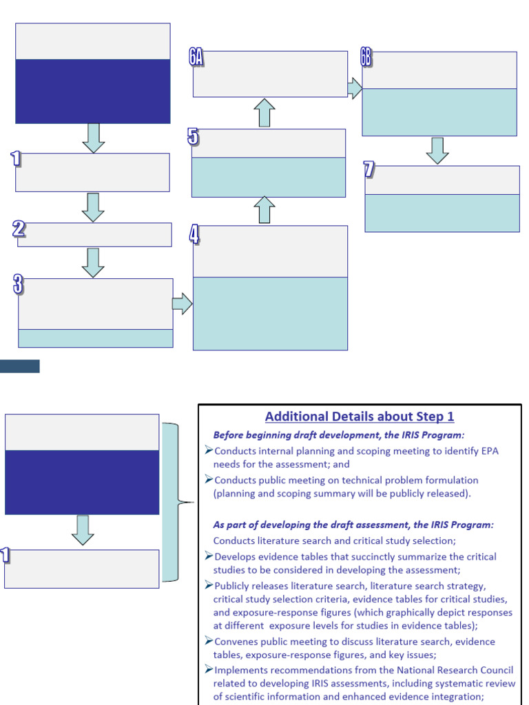 iris_process_flow_chart | PDF | Peer Review | United States ...
