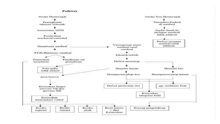 Patoflow Stroke | PDF