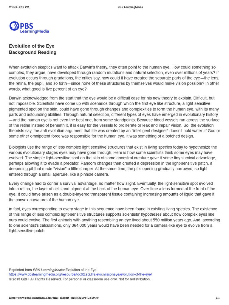 PBS Evolution of The Eye | PDF | Eye | Evolution
