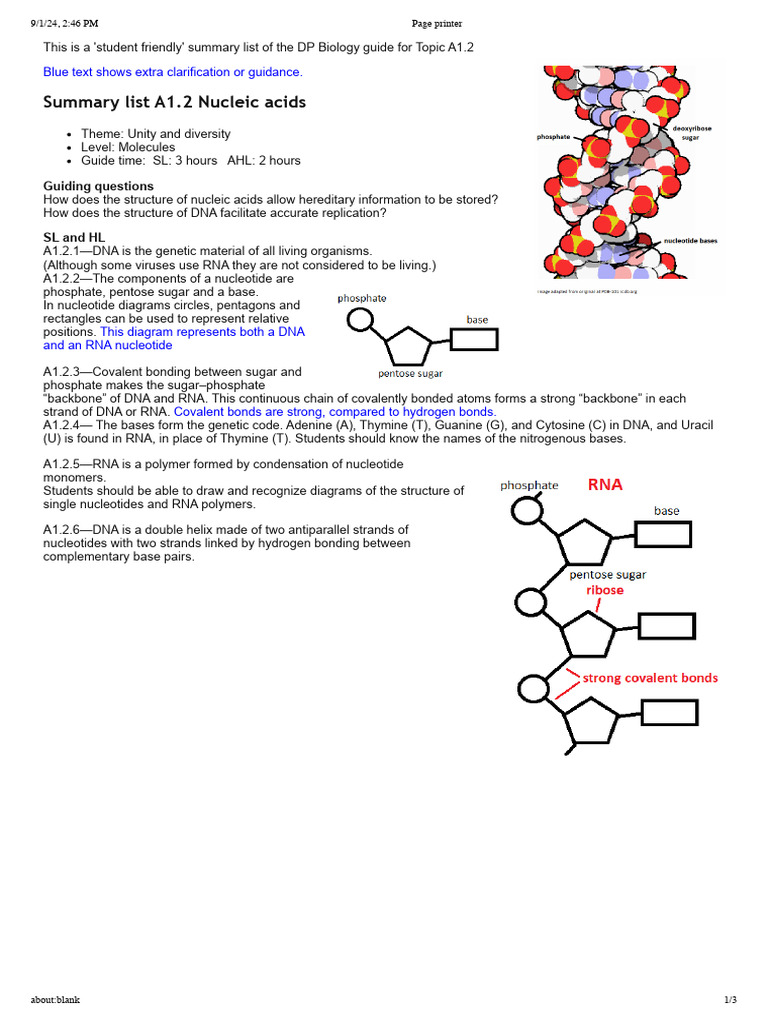 A1.2 Nucleic Acids - Summary InThinking | PDF | Dna | Nucleic Acids
