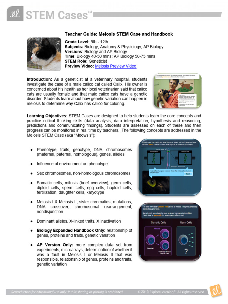 Calix: Male Calico Cat Genetics Case | PDF | Meiosis | Genetics