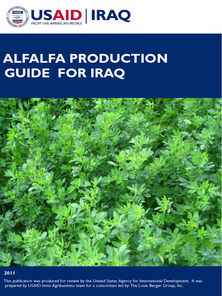 Alfalfa Production Iraq 2023 | PDF | Alfalfa | Plant Nutrition
