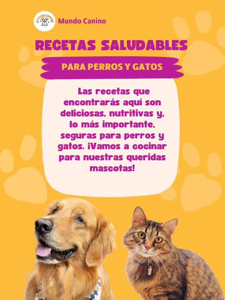 20 Recetas para Perros y Gatos | PDF | Caldo | Cocinando