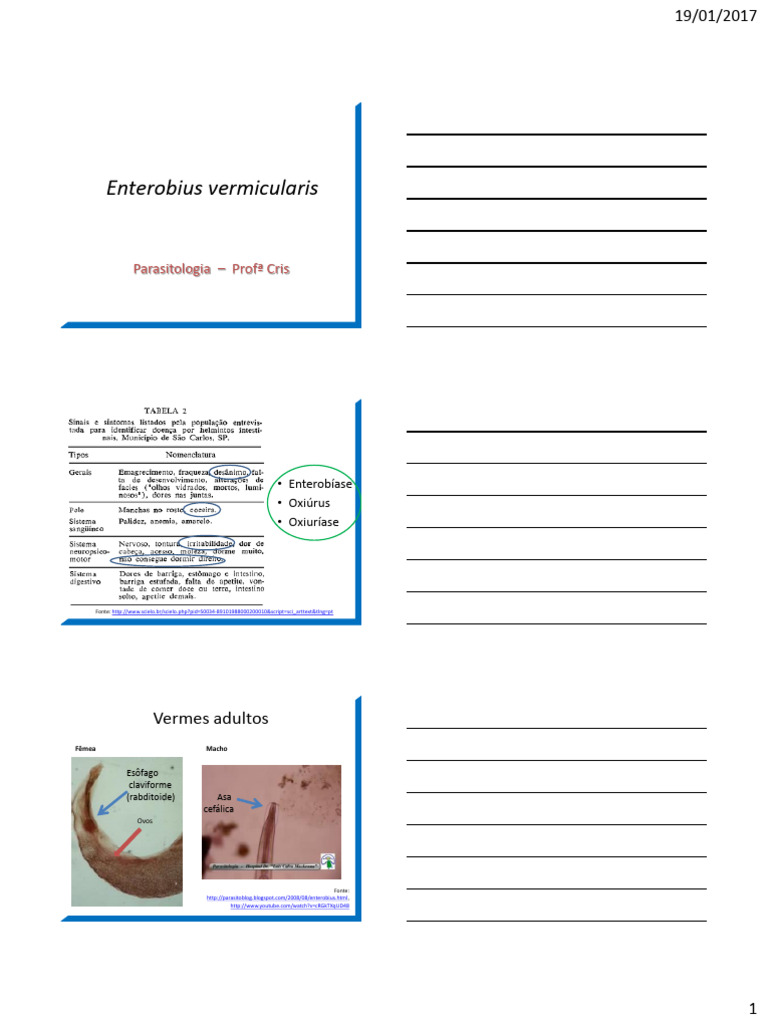 8._Enterobius_vermiculares | PDF | Especialidades médicas | Doenças e ...