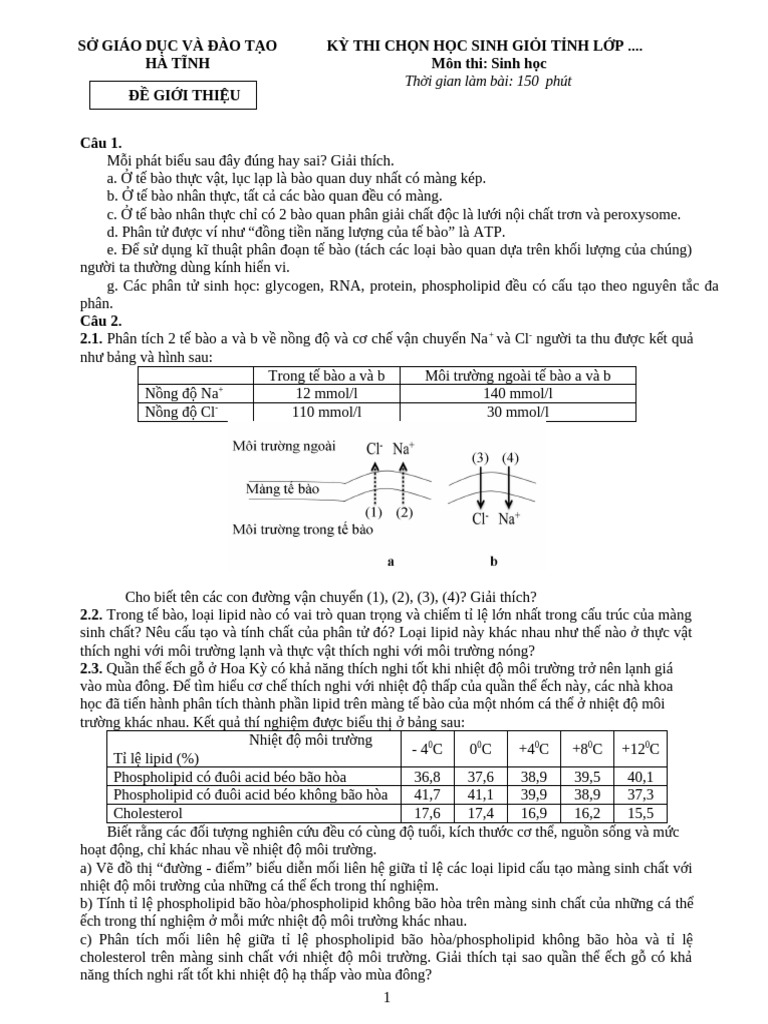2 de Thi Hsg 10 Nam Sua 2025 Lan 4 | PDF