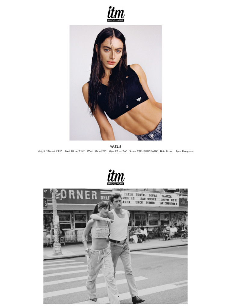 Yael Shelbia Itm Models | PDF