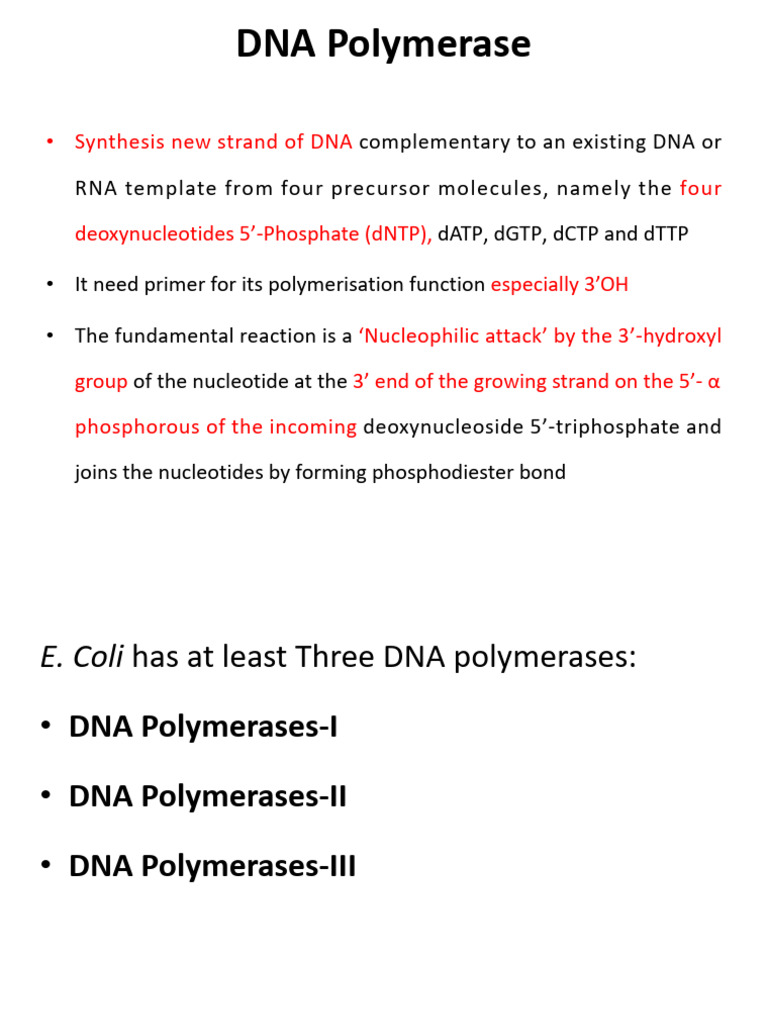 DNA Polymerase, DNA Modifying Enzymes and Ligase | PDF | Dna Ligase | Dna