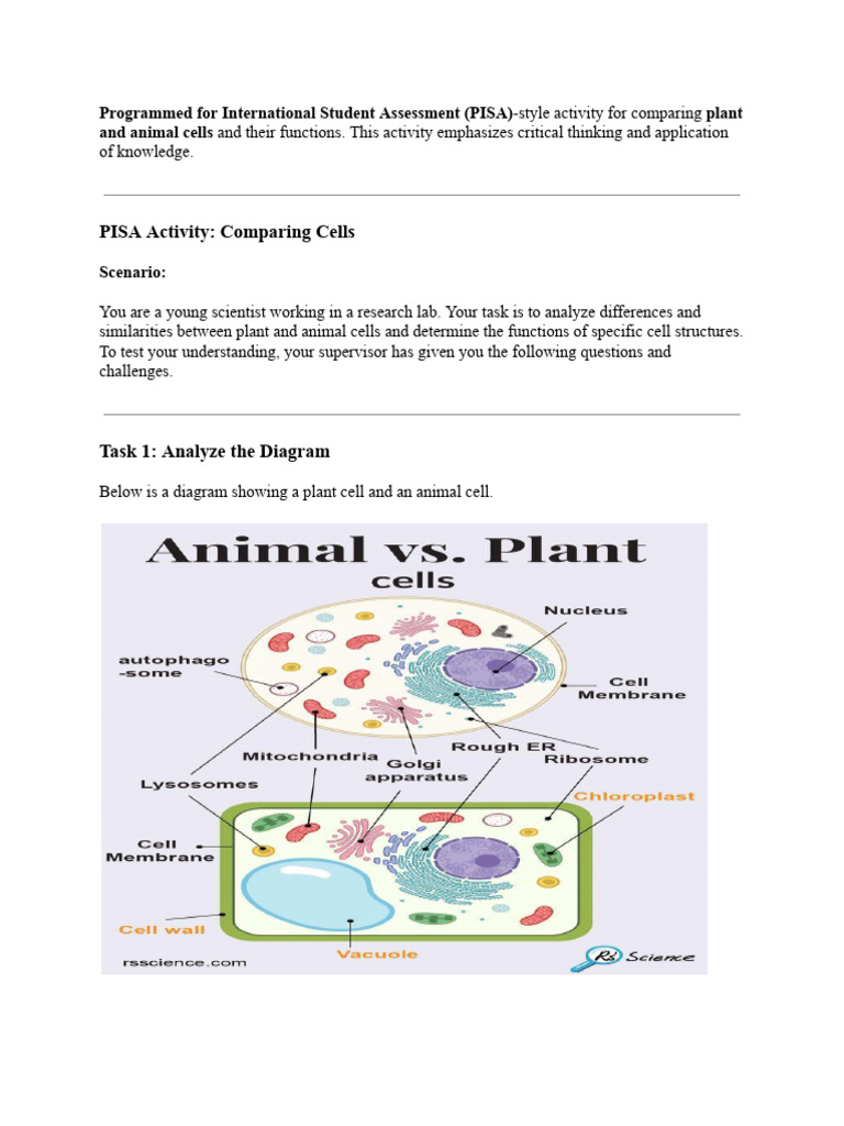 PISA ACTIVITY-Comparing Cells | PDF