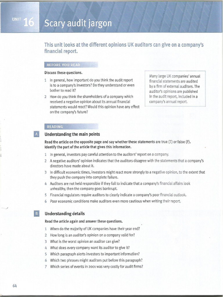 Scary Audit Jargon | PDF