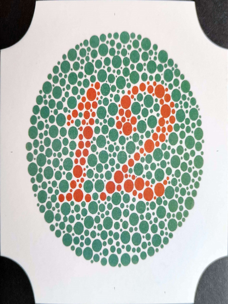 ISHIHARA 38 Plates | PDF