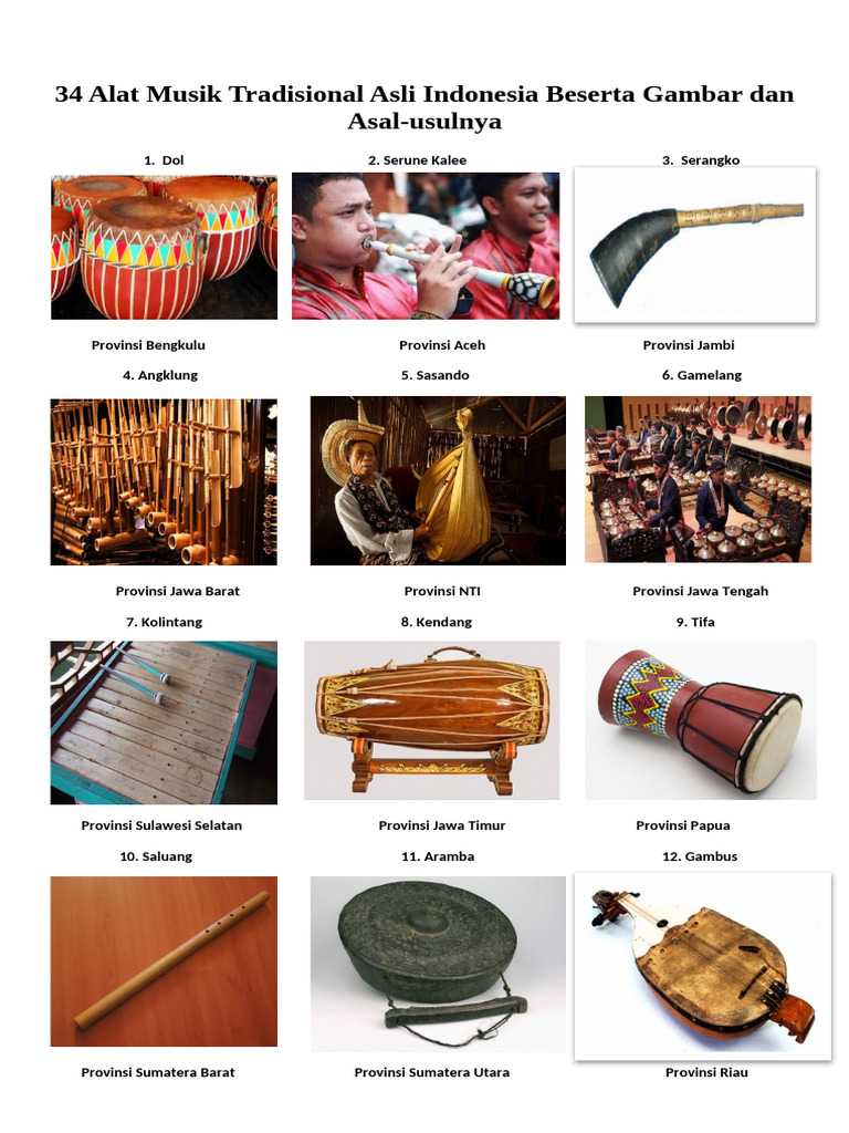 Alat Musik Tradisional 34 Provinsi Indonesia | PDF