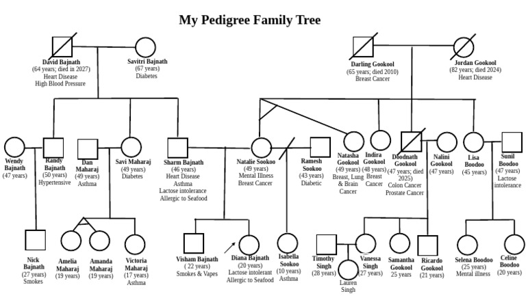 Pedigree Family Tree | PDF | Medical Specialties | Diseases And Disorders