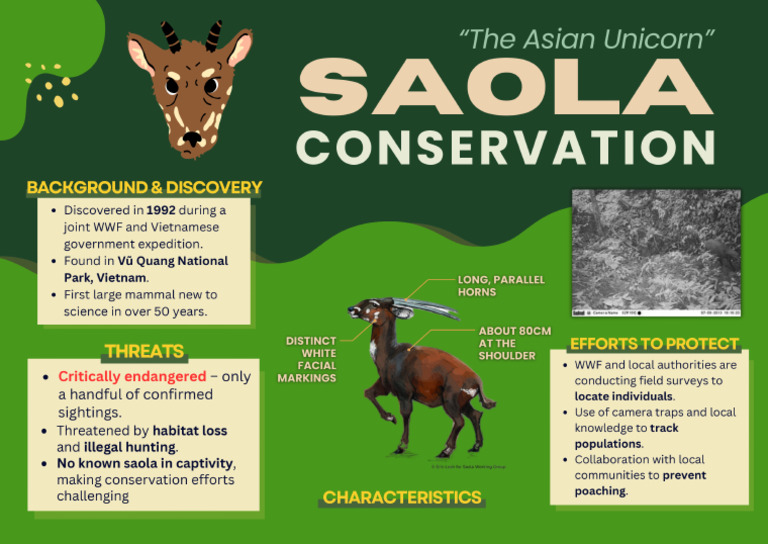 (Saola) Poster | PDF