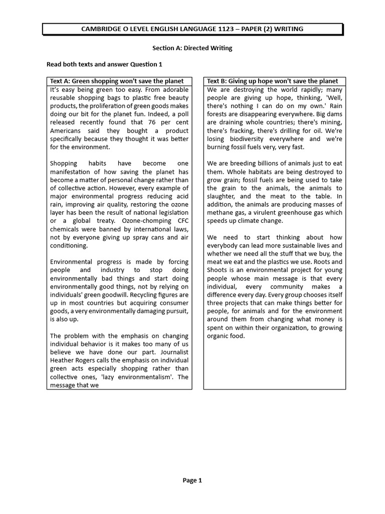 English P2 Writing (Complete) | PDF | Procrastination | Professional Skills