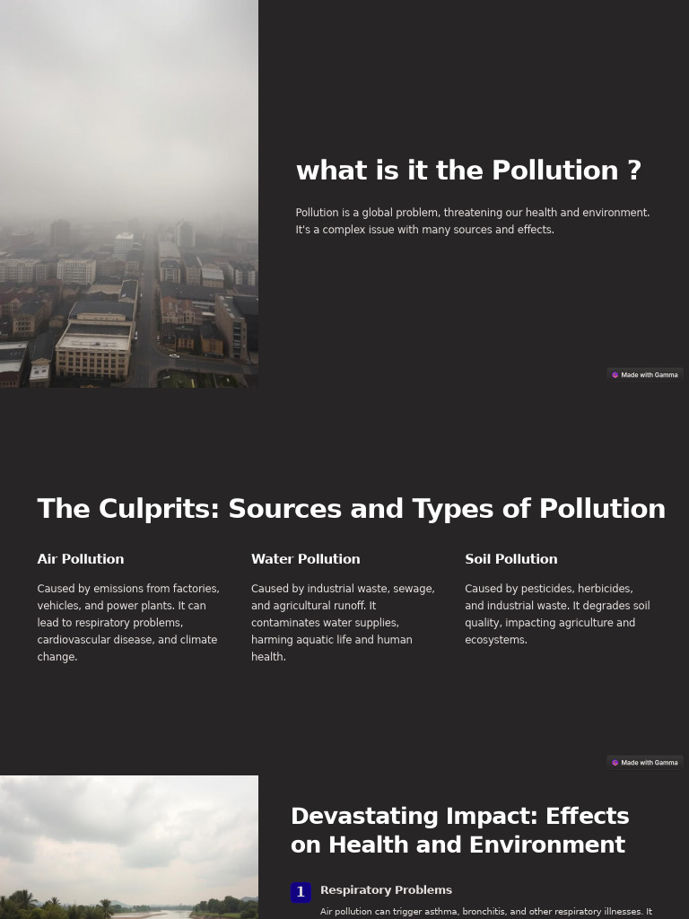 Pollution: Causes, Effects, Solutions | PDF