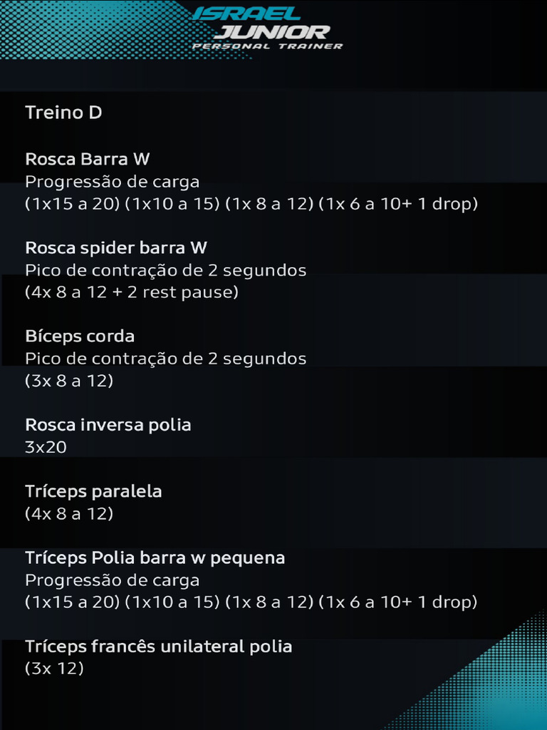 Treino Paulo Henrique Plano D | PDF