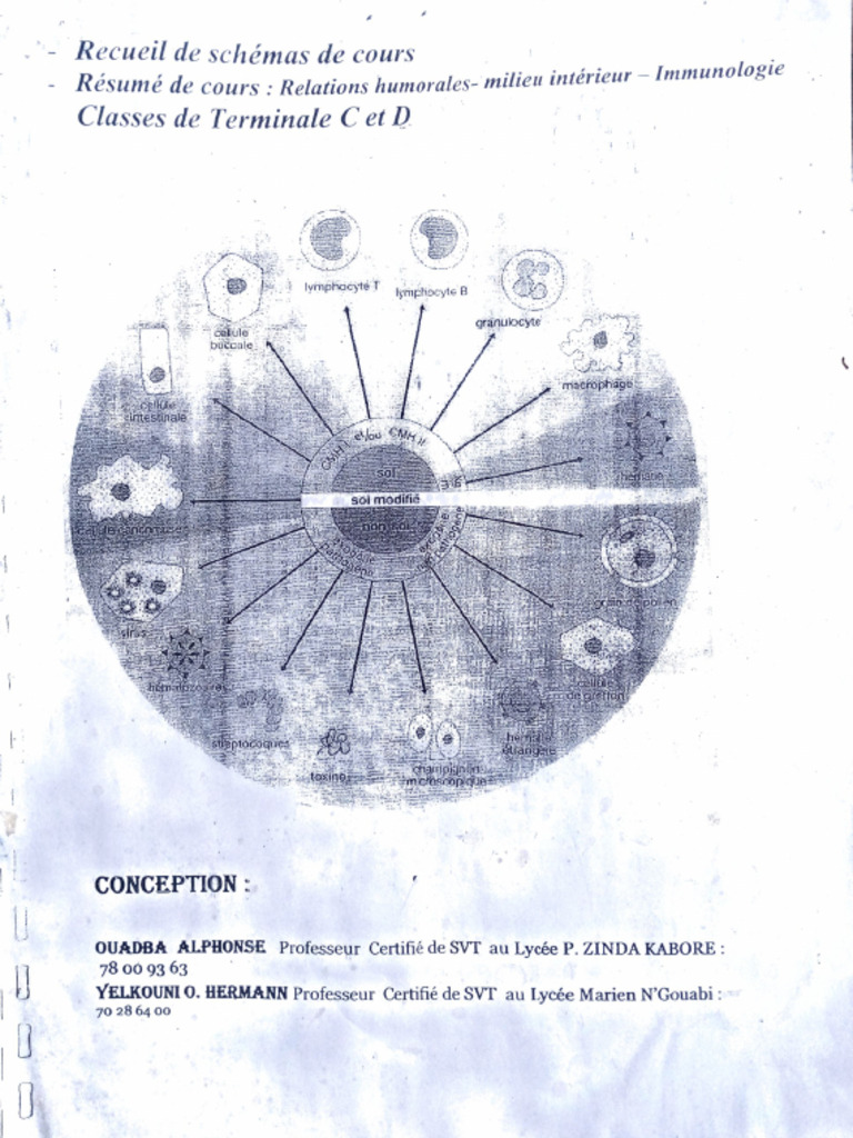 Schéma SVT terminale D | PDF