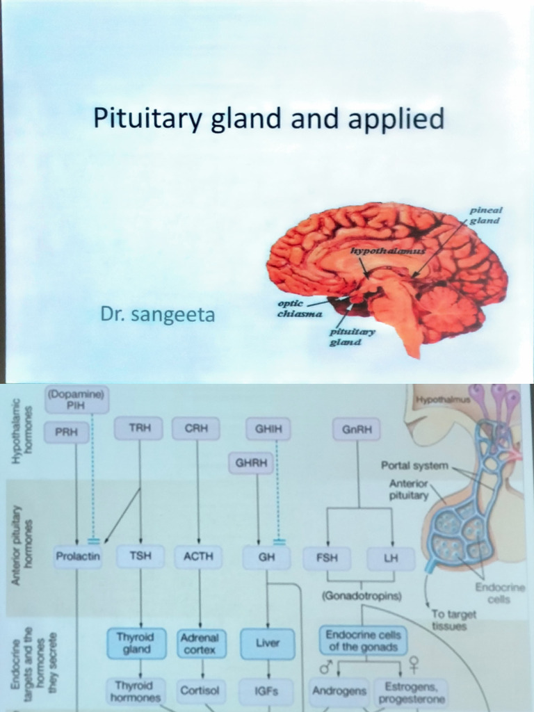 Adobe Scan 15-Sept-2023 (1) | PDF | Growth Hormone | Endocrine System