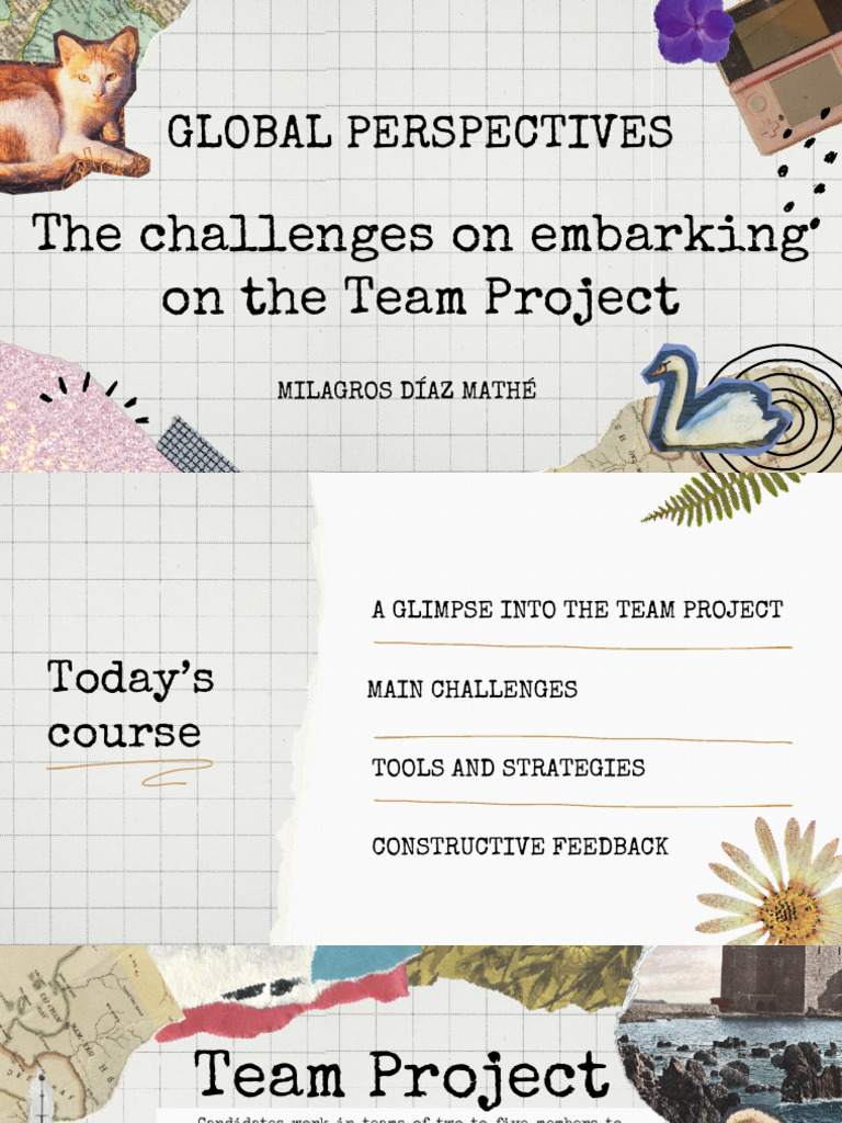 GP The Challenges of Team Project | PDF | Cognition