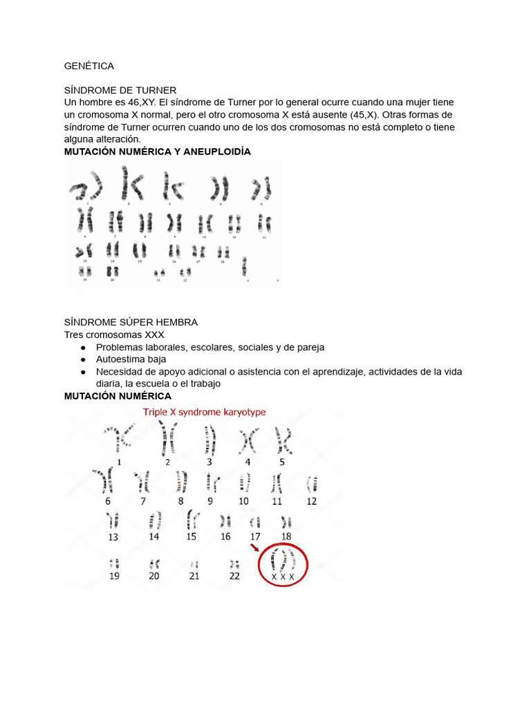 Cariotipo Genética | PDF