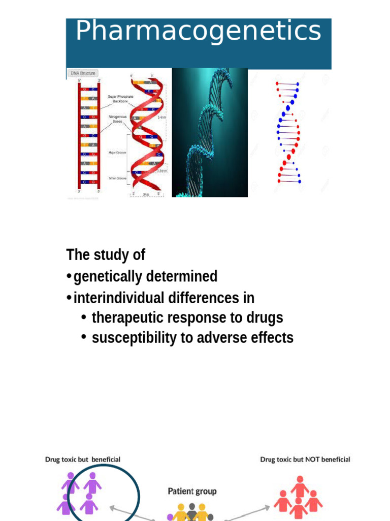Pharmacogenetics for Medical Experts | PDF