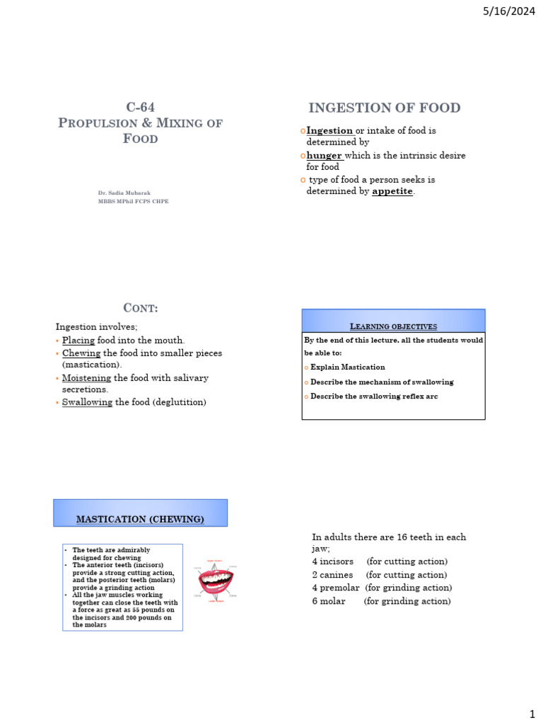 C-63 Propulsion & Mixing of Food | PDF | Esophagus | Stomach