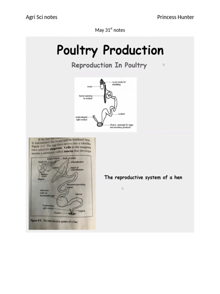 Poultry Production | PDF