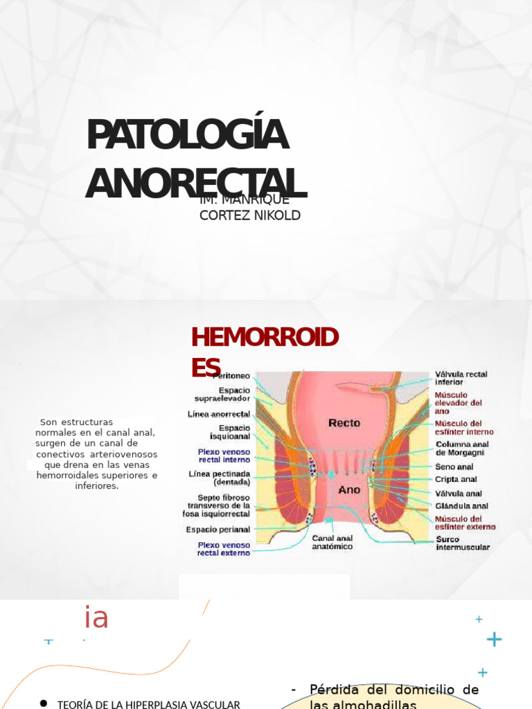 PATOLOGIA ANORECTAL NIKOLD | PDF | Hemorroides | Enfermedades y trastornos humanos