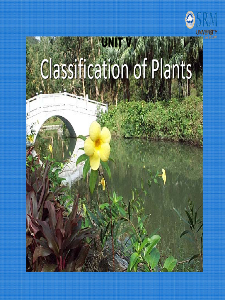 Classification of Plants | PDF