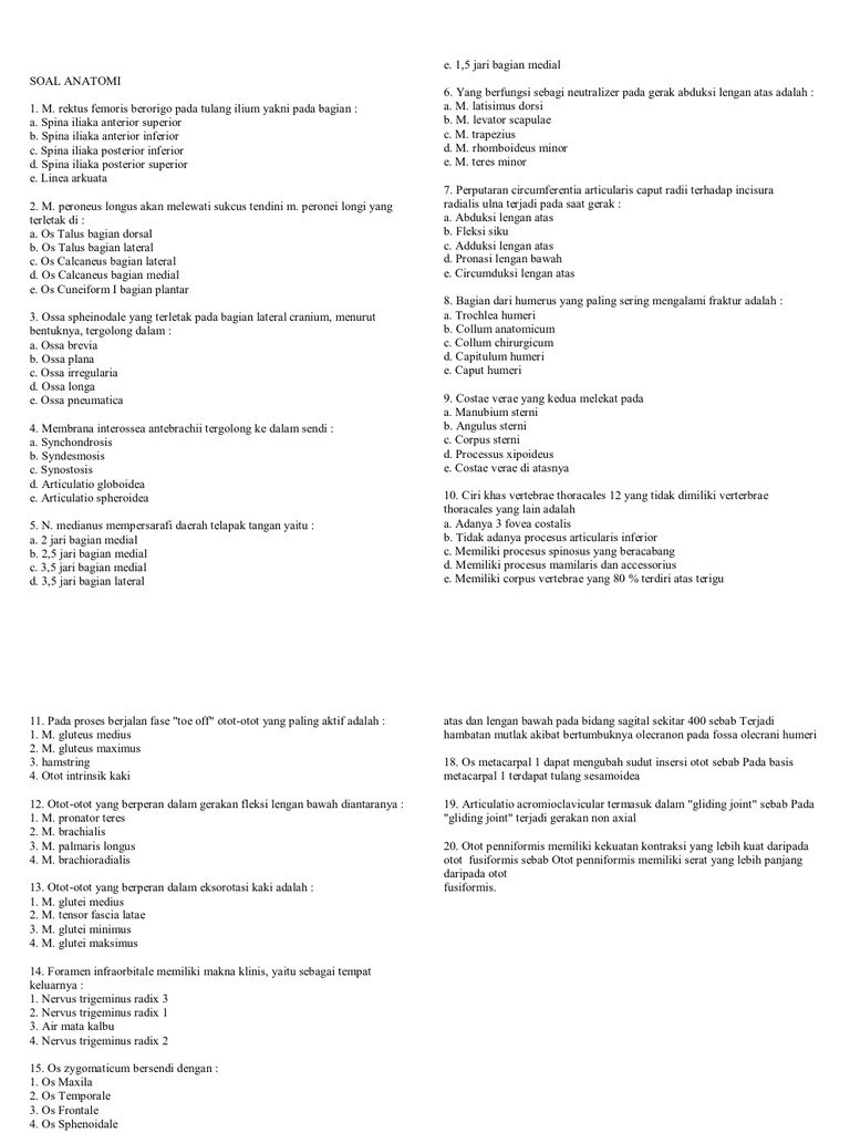 Contoh Soal Anatomi Pdf