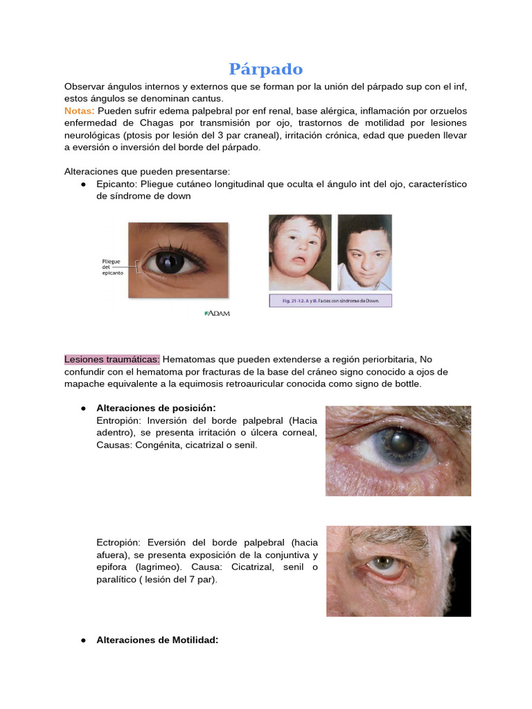 Alteraciones del Párpado y Ojo | PDF | Ojo humano | Oftalmología