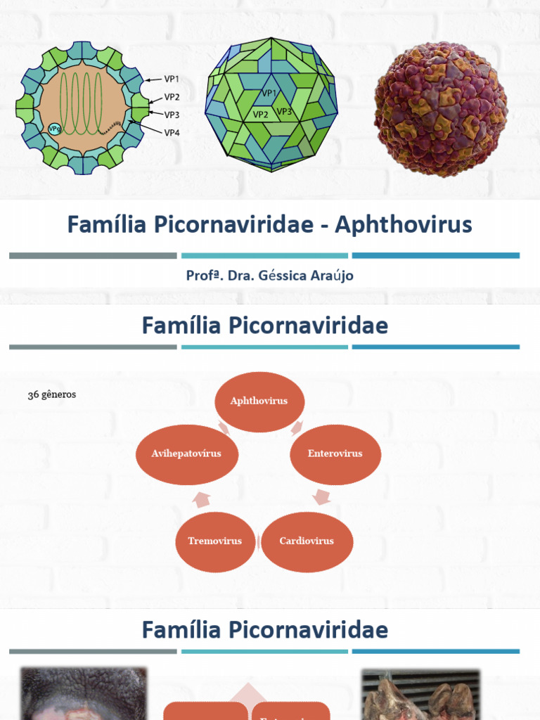 Família Picornaviridae - Aphthovirus (Febre Aftosa) | PDF | Vírus ...