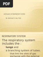 Respiratory System Mnemonics Fixed | PDF