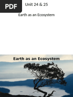 Biomanbio Succession Interactive | PDF | Flowers | Earth Sciences