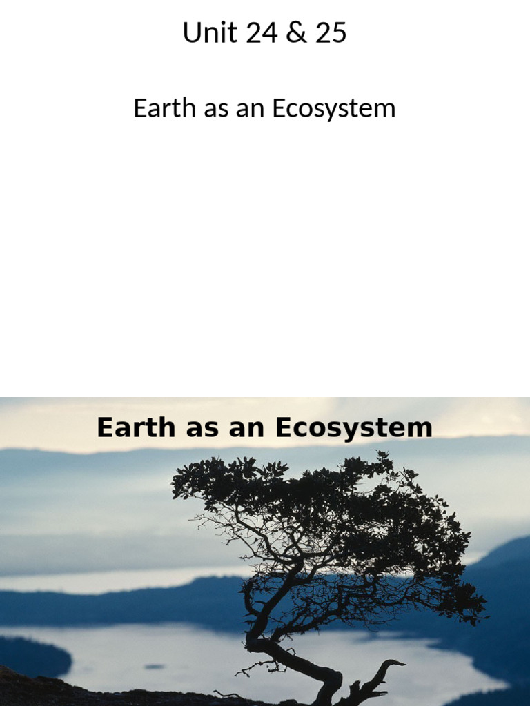 Unit 24 & 25 - Earth As An Ecosystem 2023 | PDF | Food Web | Ecosystem