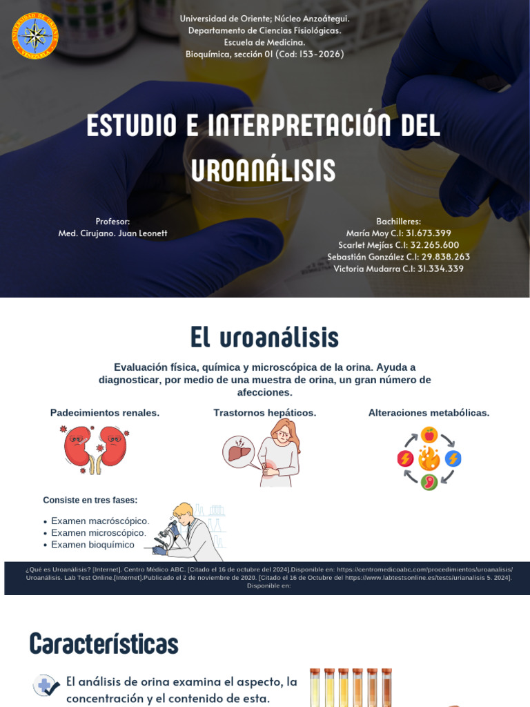 Uroanálisis Pdf Orina Sistema Urinario