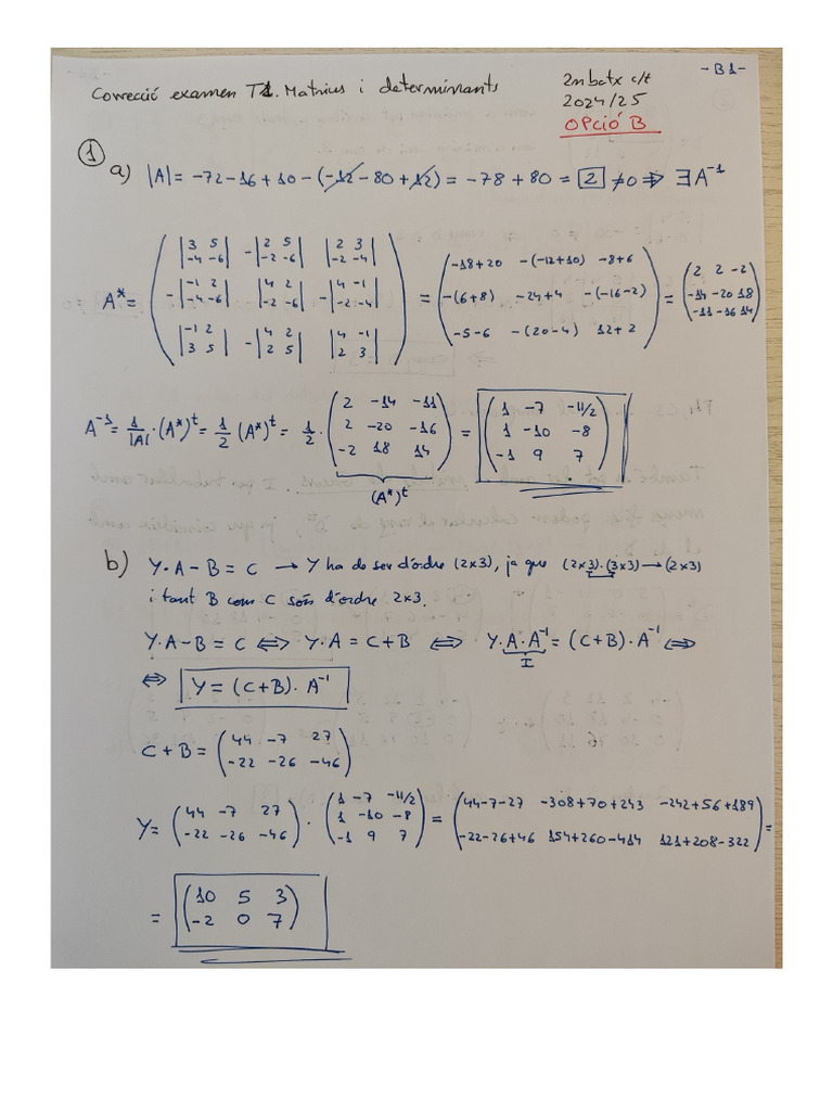 2024-25 T1 Matrius I Determinants EXÀMEN - Opció B - RESOLT | PDF