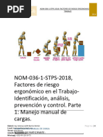 Norma Oficial Mexicana Nom-036-1-Stps-2018 | PDF | Factores humanos y ...