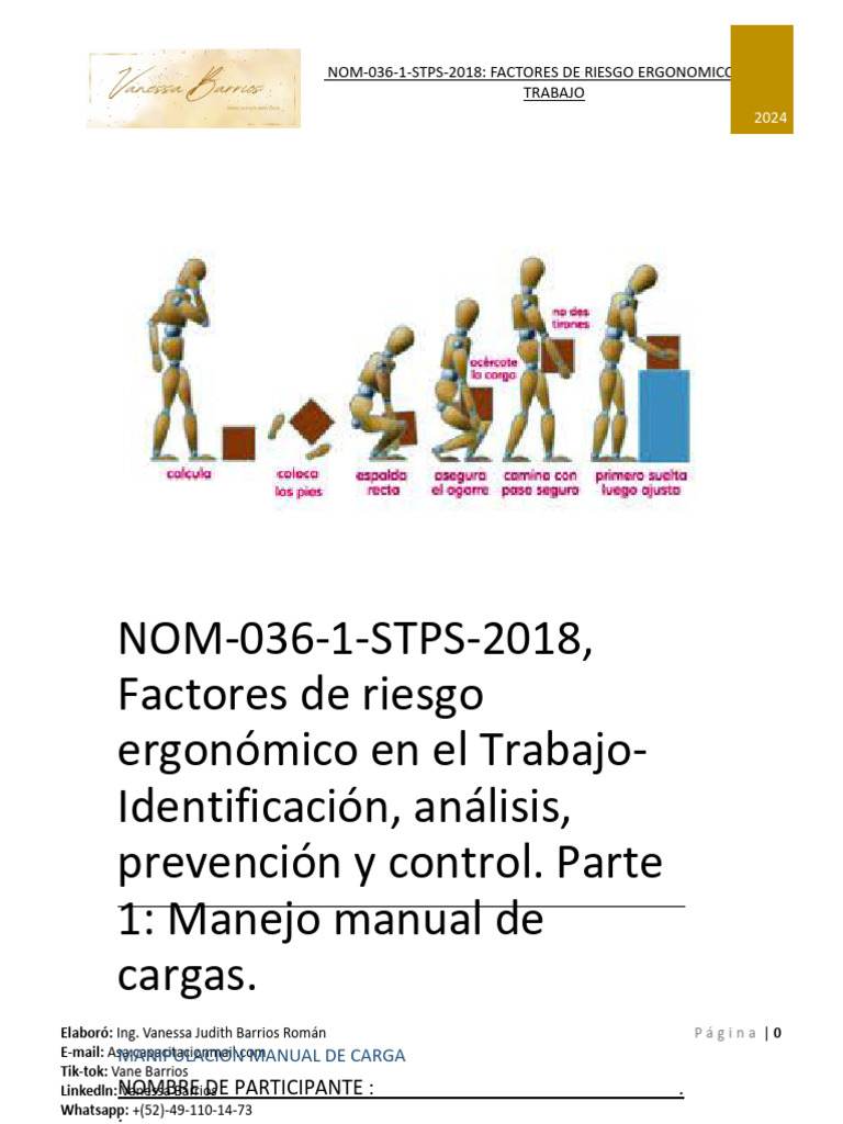 Manual Nom 036 | PDF | Seguridad y salud ocupacional