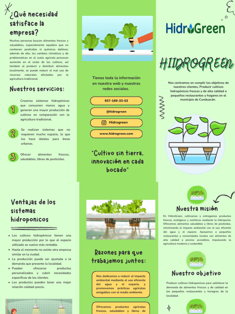 Triptico de Hidrogreen | PDF | Agricultura | Hidroponia